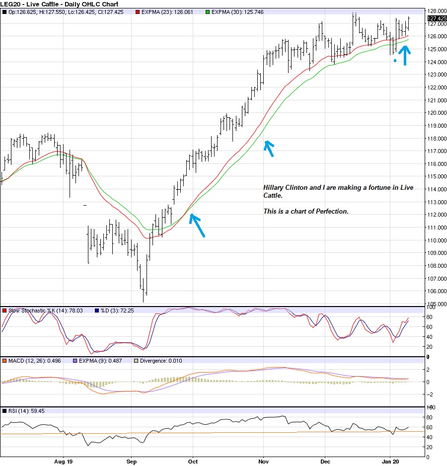 Live Cattle Chart - MarketForum